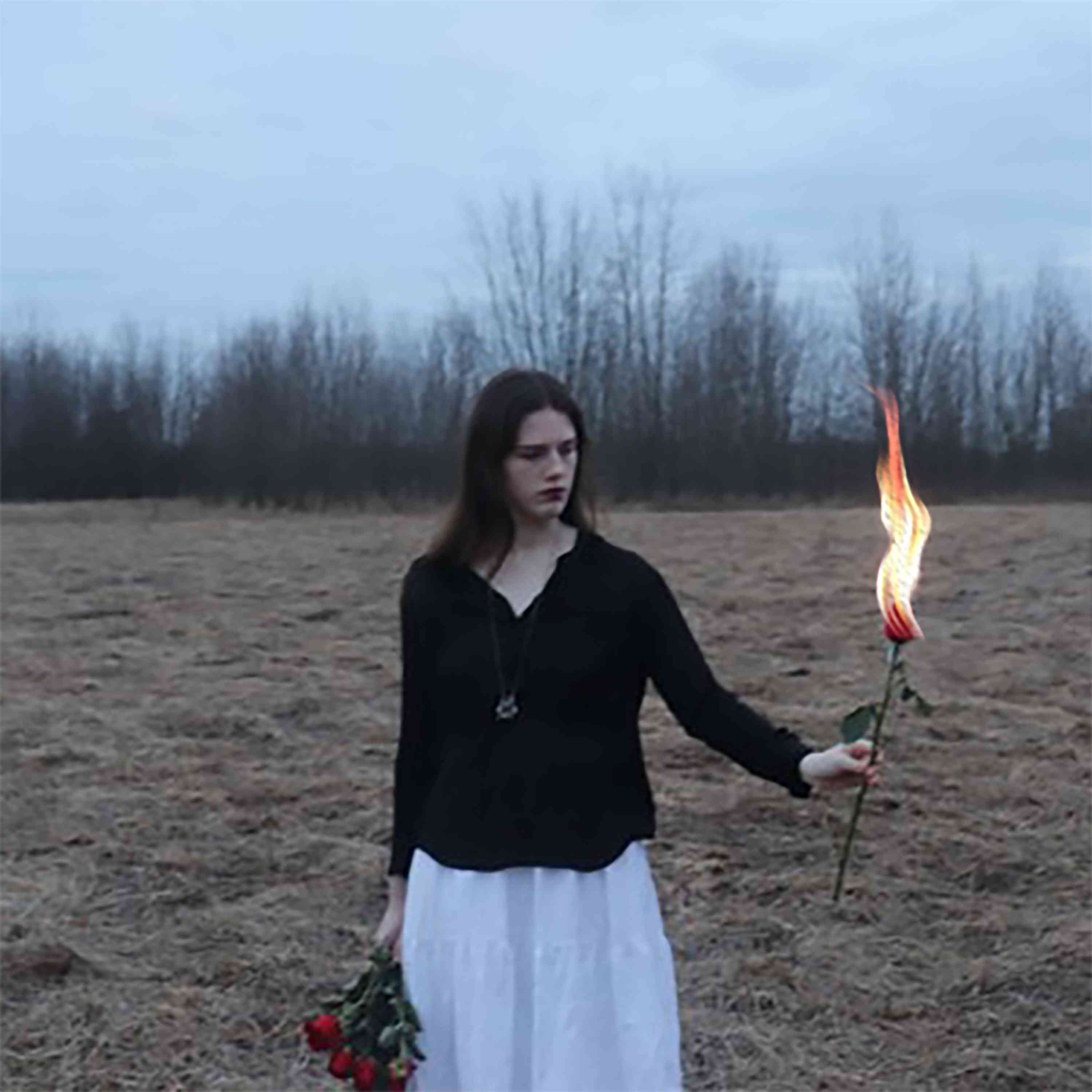 Sophia Stephens' 'Fervor': A Tale of Passion and Peril | Music Arena Gh